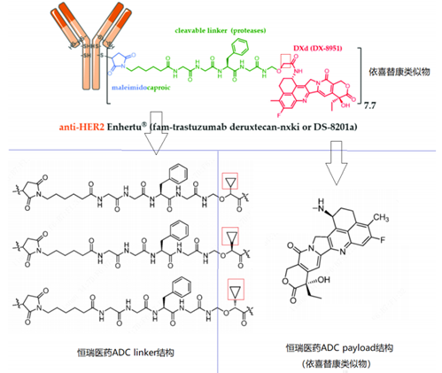 恒瑞医药HER2靶向ADC拟纳入突破性治疗品种，治疗胆道癌医药新闻-ByDrug-一站式医药资源共享中心-医药魔方