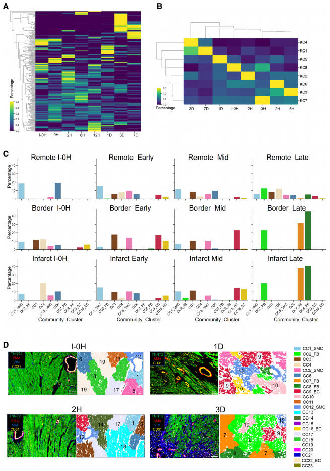 Circulation Research | IMC 助力心脏缺血再灌注损伤的空间蛋白研究医药新闻-ByDrug-一站式医药资源共享中心-医药魔方