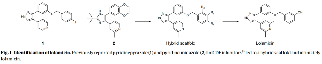 Nature重磅：更智能的抗生素！高效对抗耐药菌，而不伤害肠道菌群医药新闻-ByDrug-一站式医药资源共享中心-医药魔方