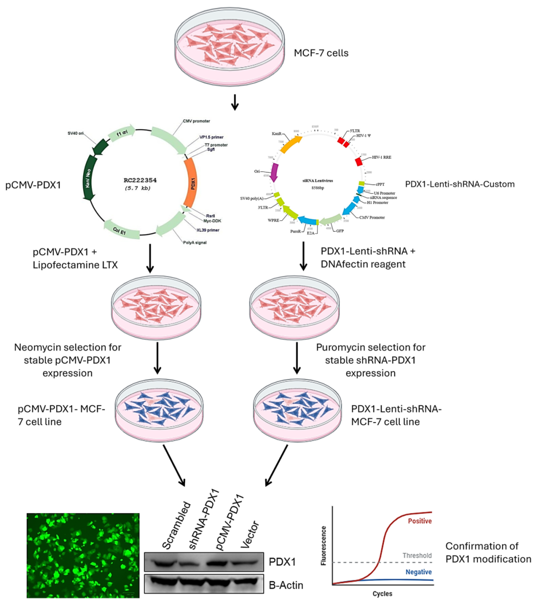 BioChem期刊正式被Scopus收录 | MDPI News医药新闻-ByDrug-一站式医药资源共享中心-医药魔方