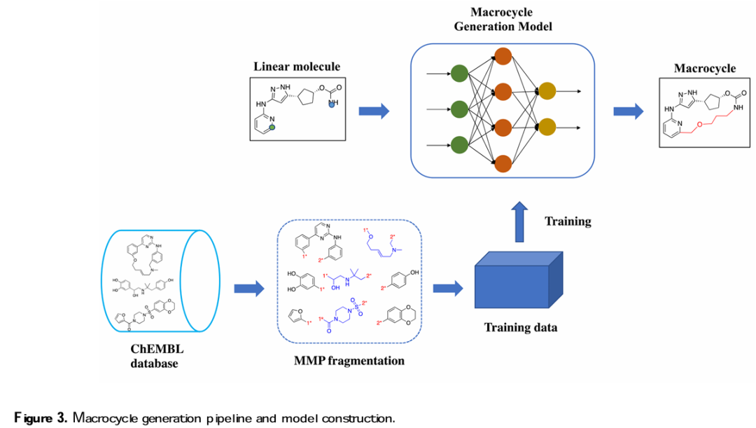 8.5亿美元首付款！锐格的三款CDK抑制剂？医药新闻-ByDrug-一站式医药资源共享中心-医药魔方