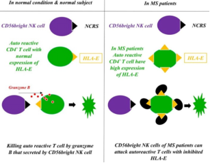 NK细胞衔接器：重塑自身免疫治疗的“三位一体”精准革命医药新闻-ByDrug-一站式医药资源共享中心-医药魔方
