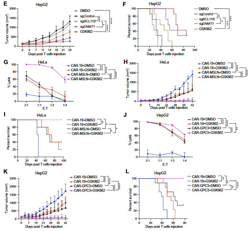 Science子刊：抑制DNMT1，给T细胞（CAR-T）增加NK细胞功能，显著增强抗肿瘤活性医药新闻-ByDrug-一站式医药资源共享中心-医药魔方