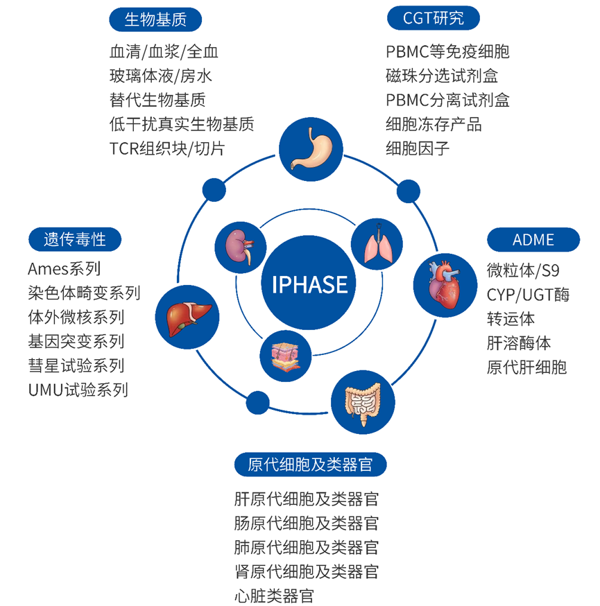 ASGPR：GaINAc-siRNA药物实现肝内靶向递送的关键靶点医药新闻-ByDrug-一站式医药资源共享中心-医药魔方