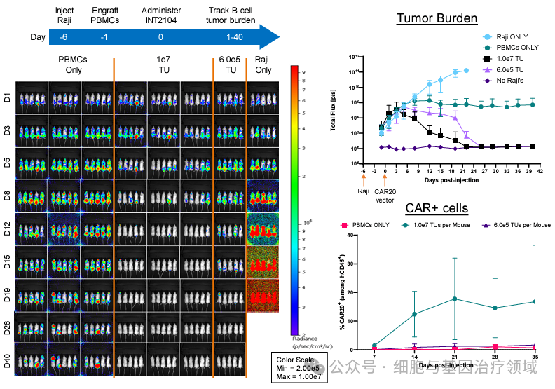 里程碑！体内制造CAR-T疗法首次获批临床医药新闻-ByDrug-一站式医药资源共享中心-医药魔方