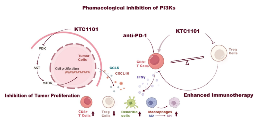 人才视界丨Mol Cancer天津医科大学孔德新教授课题组报道新型泛PI3K抑制剂KTC1101 “一石二鸟”抗肿瘤新策略医药新闻-ByDrug-一站式医药资源共享中心-医药魔方