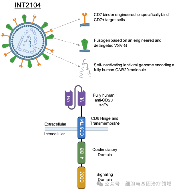 里程碑！体内制造CAR-T疗法首次获批临床医药新闻-ByDrug-一站式医药资源共享中心-医药魔方