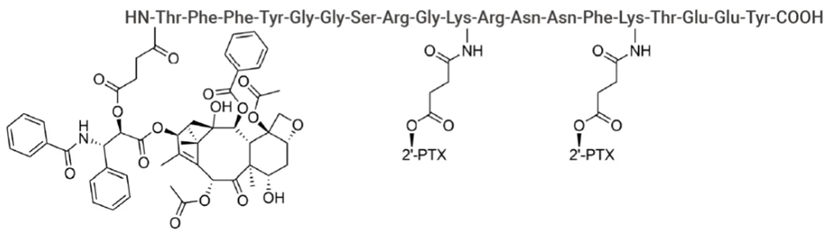 多肽偶联药物（PDC）的最新进展医药新闻-ByDrug-一站式医药资源共享中心-医药魔方