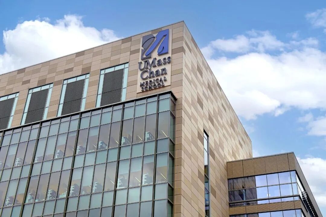 进展 I 杏泽资本伙伴企业兆维科技与UMass Chan Medical School 达成 exNA 寡核苷酸技术许可协议医药新闻 ...