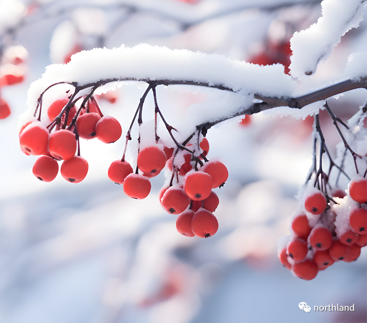 III期临床试验静息痛适应症完成预设入组目标 NL003项目取得重要进展医药新闻-ByDrug-一站式医药资源共享中心-医药魔方