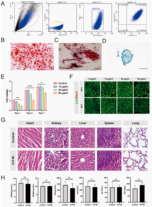 Bioactive Materials丨脊髓损伤治疗新方法——H-P-M水凝胶医药新闻-ByDrug-一站式医药资源共享中心-医药魔方
