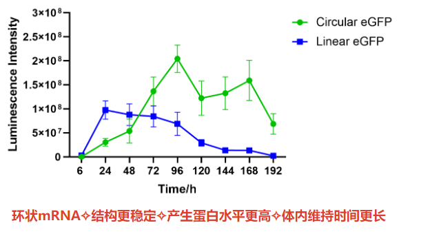 基于mRNA疗法的进展和挑战医药新闻-ByDrug-一站式医药资源共享中心-医药魔方