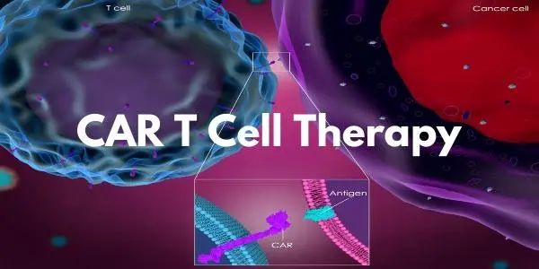 国内获批CAR-T增至4款，在研超25款，CAR-T疗法热度持续升温医药新闻-ByDrug-一站式医药资源共享中心-医药魔方