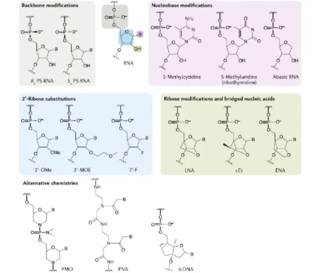 RNA靶向药物的生产工艺优化策略医药新闻-ByDrug-一站式医药资源共享中心-医药魔方