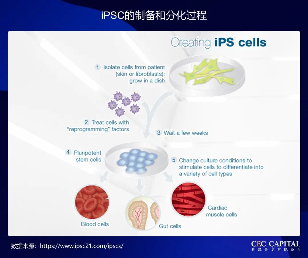 诱导多能干细胞（iPSC）的市场图景与增长潜力 | 易凯行研医药新闻-ByDrug-一站式医药资源共享中心-医药魔方