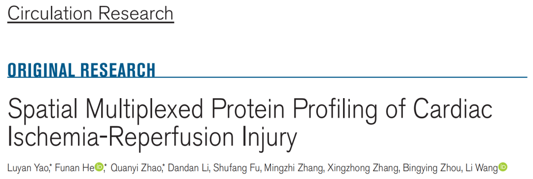 Circulation Research | IMC 助力心脏缺血再灌注损伤的空间蛋白研究医药新闻-ByDrug-一站式医药资源共享中心-医药魔方
