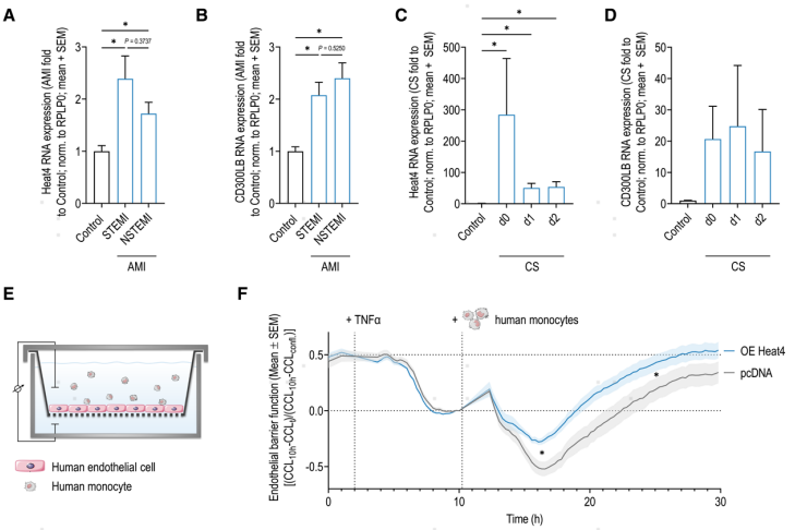 Circulation重磅：心衰治疗新靶点！HEAT4长非编码RNA或成突破口医药新闻-ByDrug-一站式医药资源共享中心-医药魔方