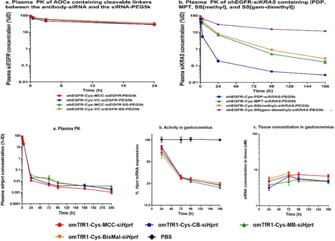 先导科普荟 | 抗体-核酸（AOC）的结构-活性关系：抗体-siRNA缀合物的生物偶联策略医药新闻-ByDrug-一站式医药资源共享中心-医药魔方