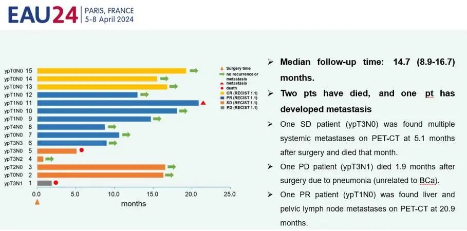 EAU24中国之声|吕强教授团队：替雷利珠单抗联合化疗新辅助治疗临床淋巴结阳性（cN+） 膀胱癌最新疗效数据公布医药新闻-ByDrug-一站式医药资源共享中心-医药魔方