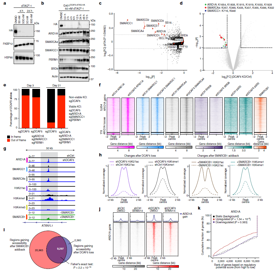 Nature突破：神奇抗癌靶点DCAF5来了，或开辟癌症治疗新范式医药新闻-ByDrug-一站式医药资源共享中心-医药魔方