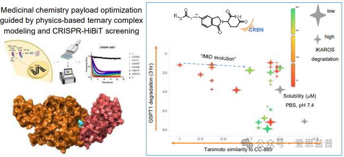 双重靶向革命：当抗体偶联遇见蛋白降解，癌症治疗会有哪些突破？医药新闻-ByDrug-一站式医药资源共享中心-医药魔方