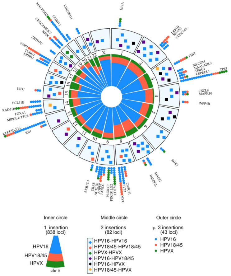 文献解读 | HPV相关肿瘤中HPV DNA整合多位于潜在治疗靶基因位点医药新闻-ByDrug-一站式医药资源共享中心-医药魔方