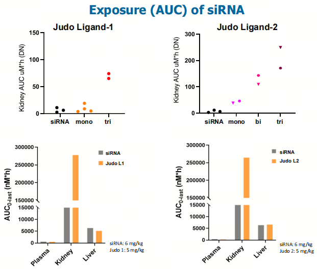1亿美元！新锐开发靶向肾脏的siRNA疗法，降低70%基因表达医药新闻-ByDrug-一站式医药资源共享中心-医药魔方