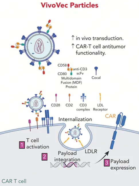 体内CAR-T火爆：“吸金”1亿美元医药新闻-ByDrug-一站式医药资源共享中心-医药魔方