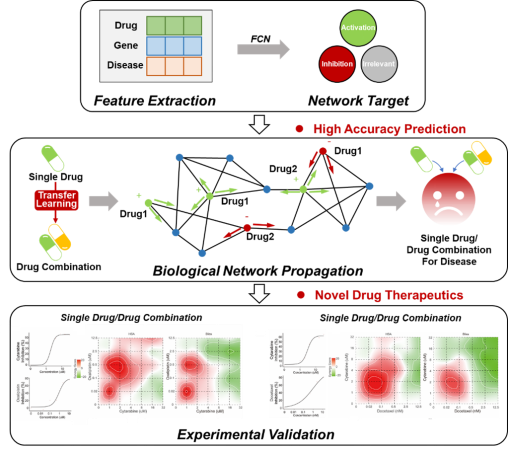 人才视界丨刘立仁团队Adv Sci提出基于网络靶标的药物-疾病关联预测新算法医药新闻-ByDrug-一站式医药资源共享中心-医药魔方