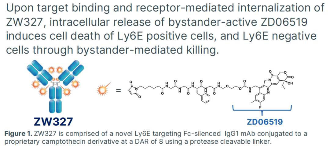 从被临床终止到ADC的待爆靶点，Ly6E能否成为下一个风口？医药新闻-ByDrug-一站式医药资源共享中心-医药魔方