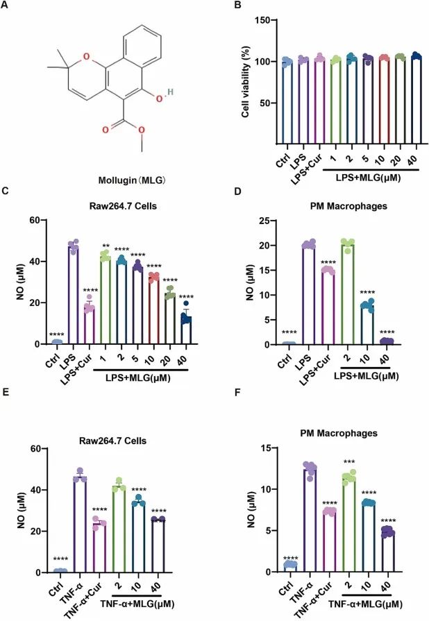干法和湿法实验双重揭示：大叶茜草素可有望成为脓毒症的候选药物医药新闻-ByDrug-一站式医药资源共享中心-医药魔方