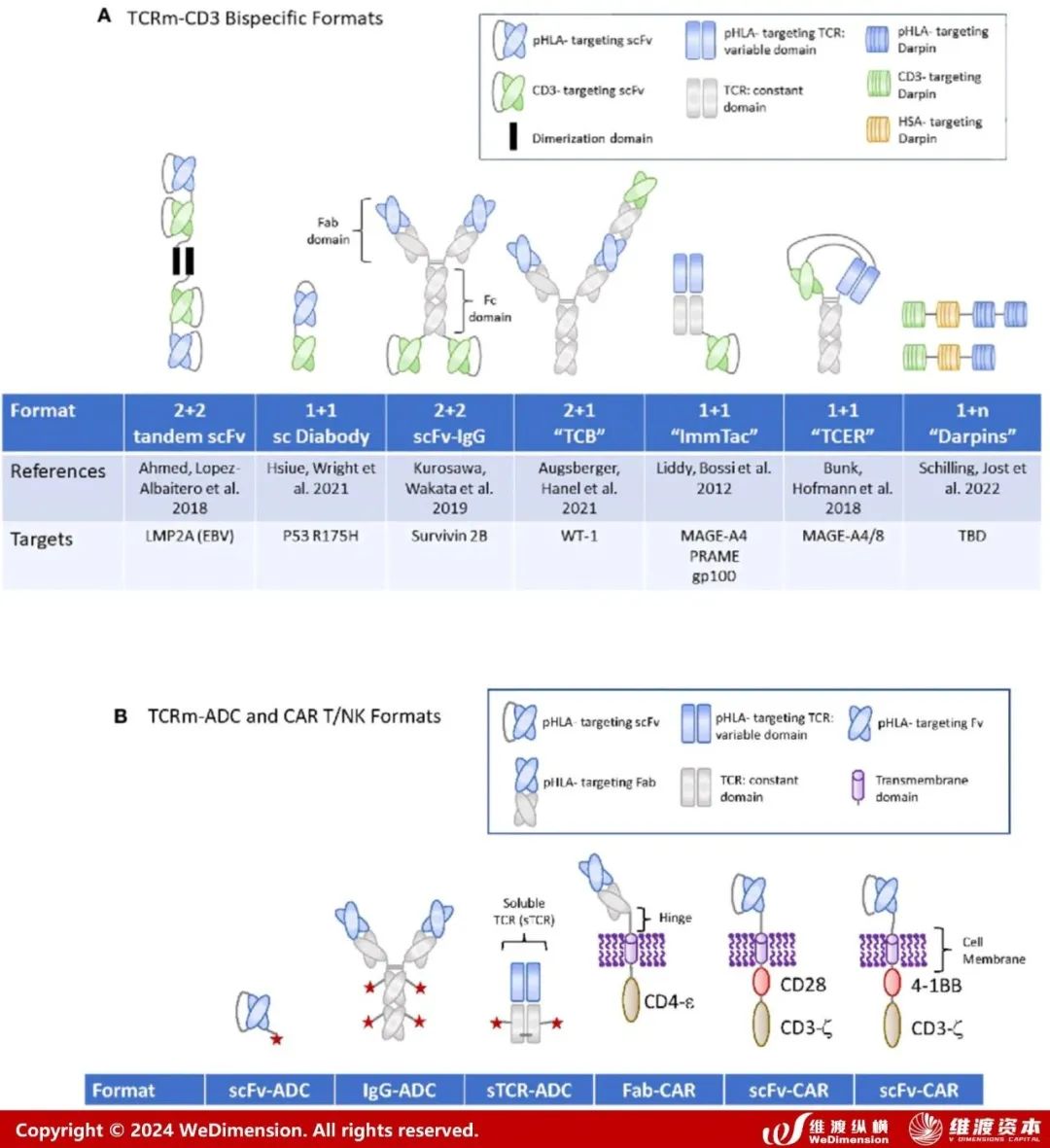 TCR疗法行业研究报告医药新闻-ByDrug-一站式医药资源共享中心-医药魔方