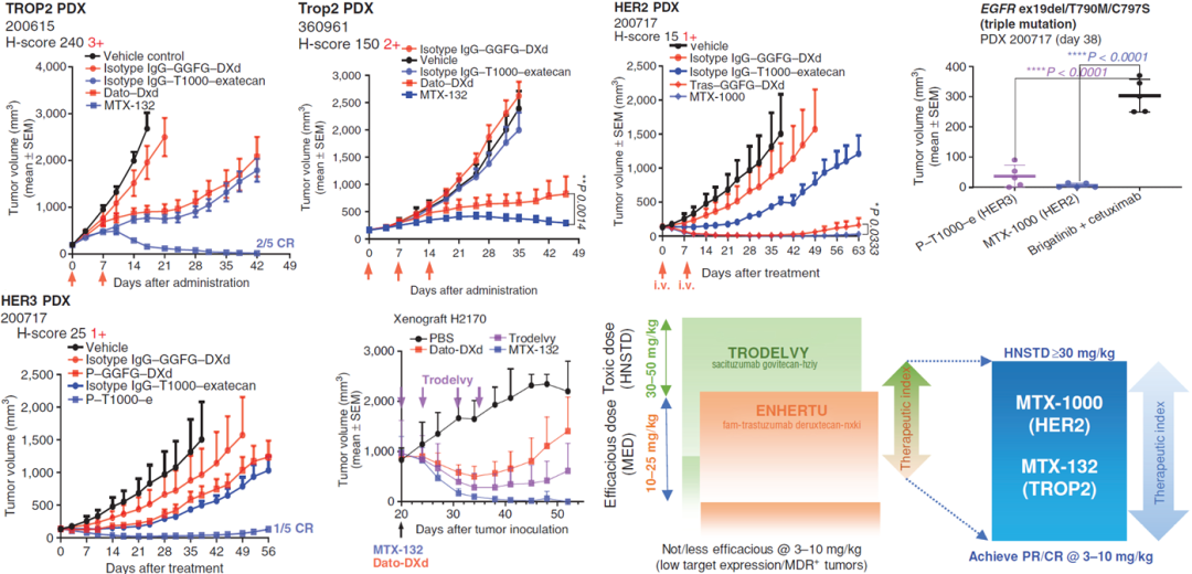 Beyond PEGylation：聚肌氨酸(PSAR)在ADC领域的应用医药新闻-ByDrug-一站式医药资源共享中心-医药魔方