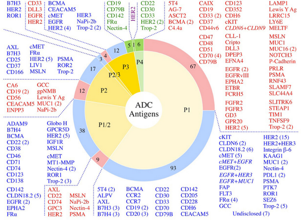 靶标、终止、优化、II/III期临床，关于ADC，你想知道的都在这！医药新闻-ByDrug-一站式医药资源共享中心-医药魔方