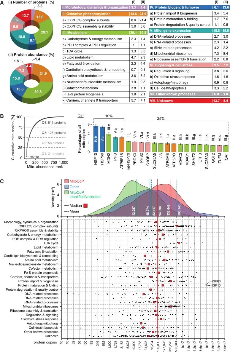 揭秘线粒体：从蛋白质组学到疾病治疗的突破之路医药新闻-ByDrug-一站式医药资源共享中心-医药魔方