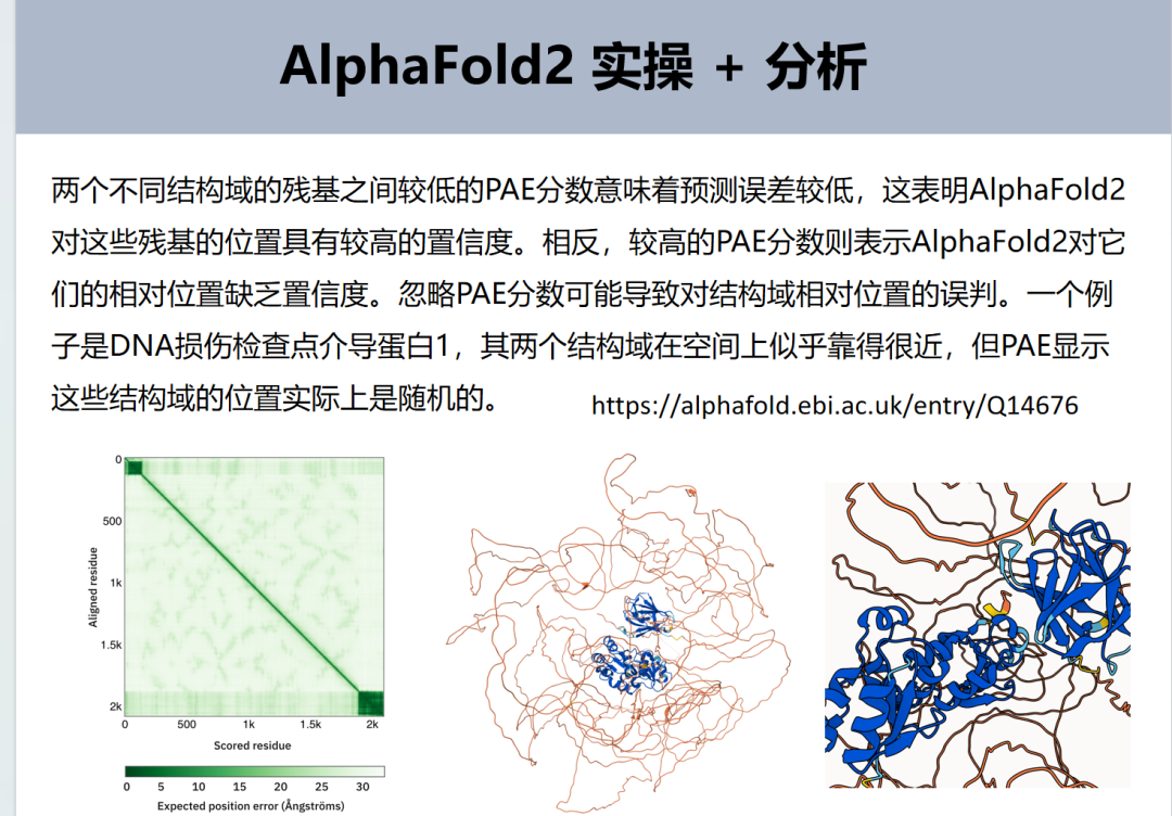 2024最后疯狂！AlphaFold3重磅开源，AI结合蛋白质设计成果迎来全面爆发，最后两月连发顶刊不是梦想医药新闻-ByDrug-一站式医药资源共享中心-医药魔方
