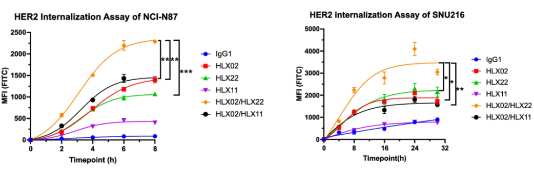 HER2阳性胃癌治疗新方案：HLX22双靶向疗法MOA研究结果发表于J of Transl Med医药新闻-ByDrug-一站式医药资源共享中心-医药魔方