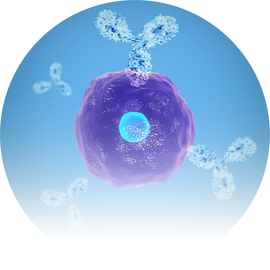 NewCo！3.7亿美元融资开发自免新药，核心资产来自于中国Biotech医药新闻-ByDrug-一站式医药资源共享中心-医药魔方