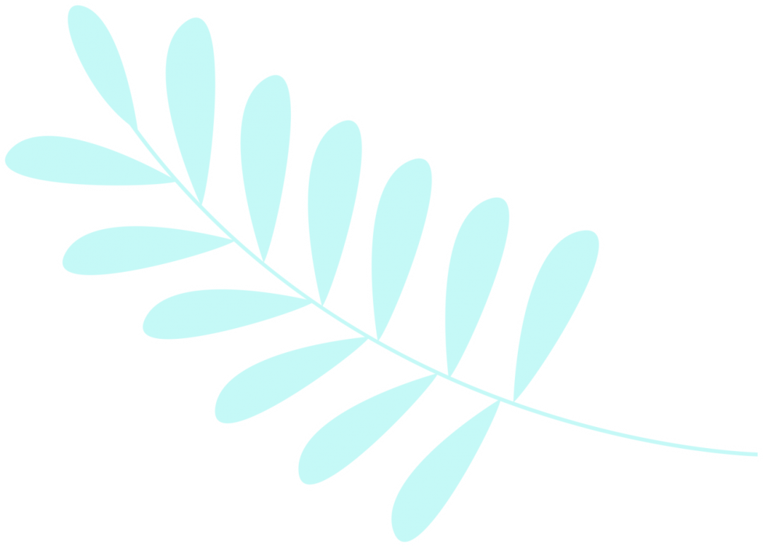 江苏省药品监督管理局关于开展优化药品补充申请审评审批程序改革试点工作的公告医药新闻-ByDrug-一站式医药资源共享中心-医药魔方