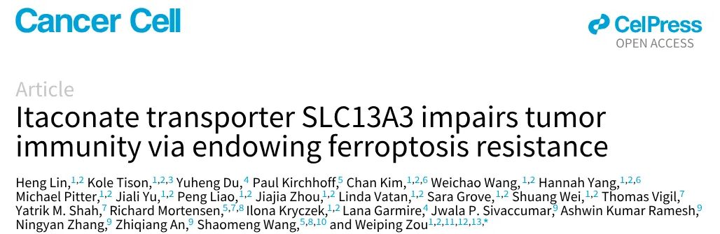 Cancer Cell | 密歇根大学邹伟平团队发现SLC13A3赋予肿瘤细胞铁死亡抗性并削弱肿瘤免疫治疗疗效医药新闻-ByDrug-一站式 ...