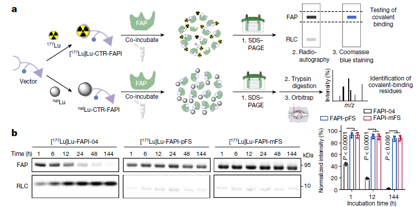核药突破，Nature首发靶向共价放射性药物医药新闻-ByDrug-一站式医药资源共享中心-医药魔方
