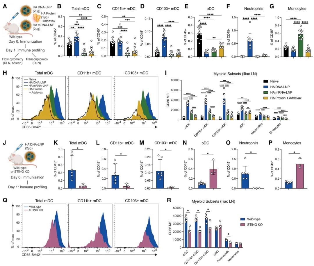 Cell Rep Med | DNA疫苗新突破！新型DNA-LNP递送技术实现长效免疫医药新闻-ByDrug-一站式医药资源共享中心-医药魔方