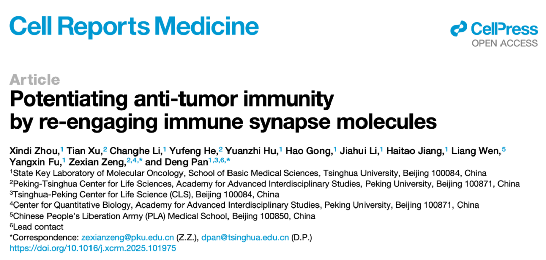 Cell子刊：潘登/曾泽贤团队揭示免疫突触介导的肿瘤免疫逃逸机制，开发靶向治疗新策略医药新闻-ByDrug-一站式医药资源共享中心-医药魔方