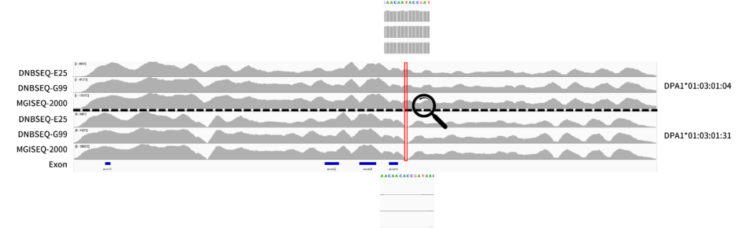 用户测评 | 纳昂达基于DNBSEQ平台推出探针捕获HLA分型全流程解决方案医药新闻-ByDrug-一站式医药资源共享中心-医药魔方