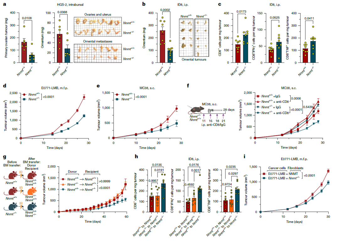 Nature：癌症免疫治疗新靶点——NNMT医药新闻-ByDrug-一站式医药资源共享中心-医药魔方