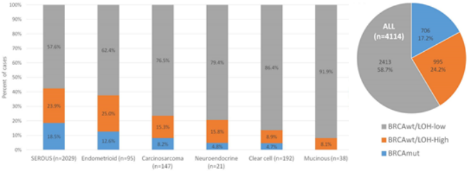 国内首个商用HRD状态检测产品-FoundationOne CDx助力卵巢癌精准治疗步入HRD时代医药新闻-ByDrug-一站式医药资源共享 ...