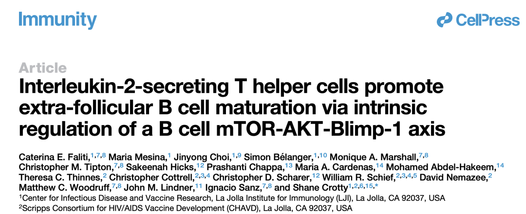 Immunity | IL-2分泌的Th细胞通过mTOR-Akt-Blimp1 促进EF B细胞的成熟分化医药新闻-ByDrug-一站式医药资源共享中心-医药魔方