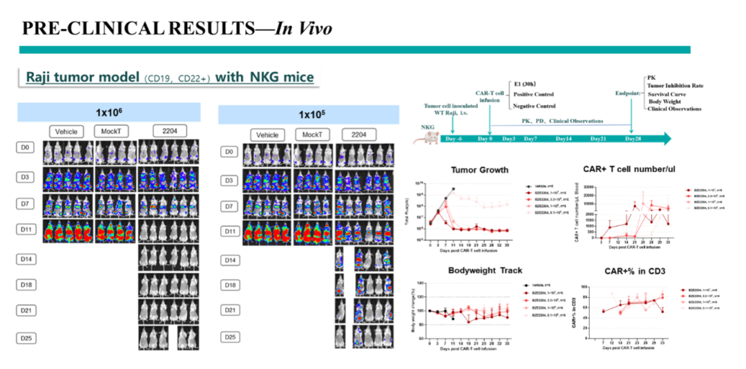 【AACR 2025】上细前沿突破一 | 全球首创6小时极速制备：JL-闪CAR-T™助力短周期、低成本、长药效细胞药物开发医药新闻-ByDrug-一站式医药资源共享中心-医药魔方