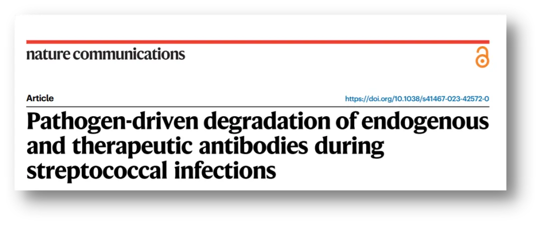无需NK培养，无需细胞裂解，ADCC/ADCP效应检测如此简单医药新闻-ByDrug-一站式医药资源共享中心-医药魔方