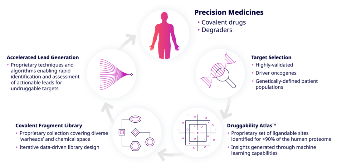 8000万美元C轮融资，开发下一代KRAS G12C抑制剂医药新闻-ByDrug-一站式医药资源共享中心-医药魔方